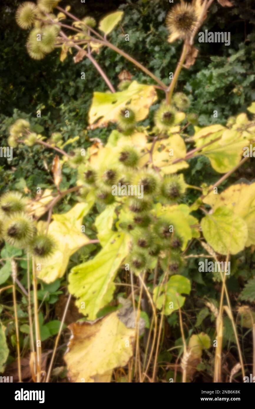 Natures chaos; natural environmental patterns formed by shapes in an ...