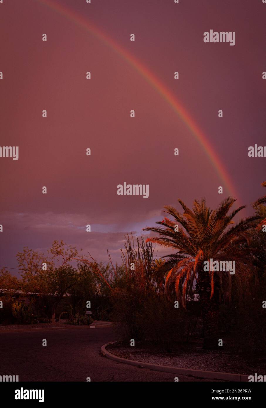 Tucson, Arizona during monsoon season Stock Photo - Alamy