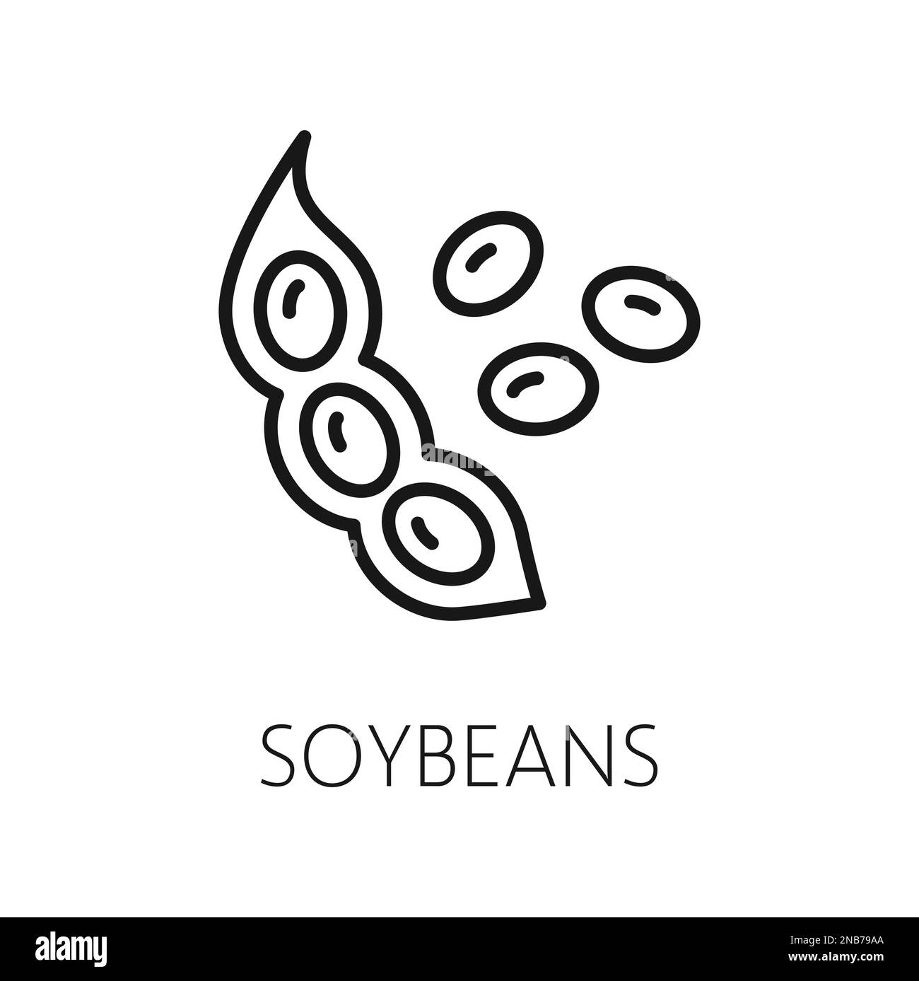 Bob bean Stock Vector Images - Alamy