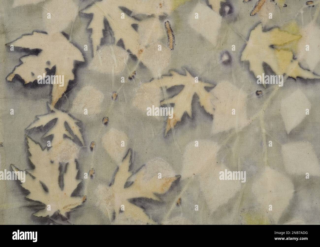 Fragment of hand-dyed fabric using eco-print technique Stock Photo - Alamy