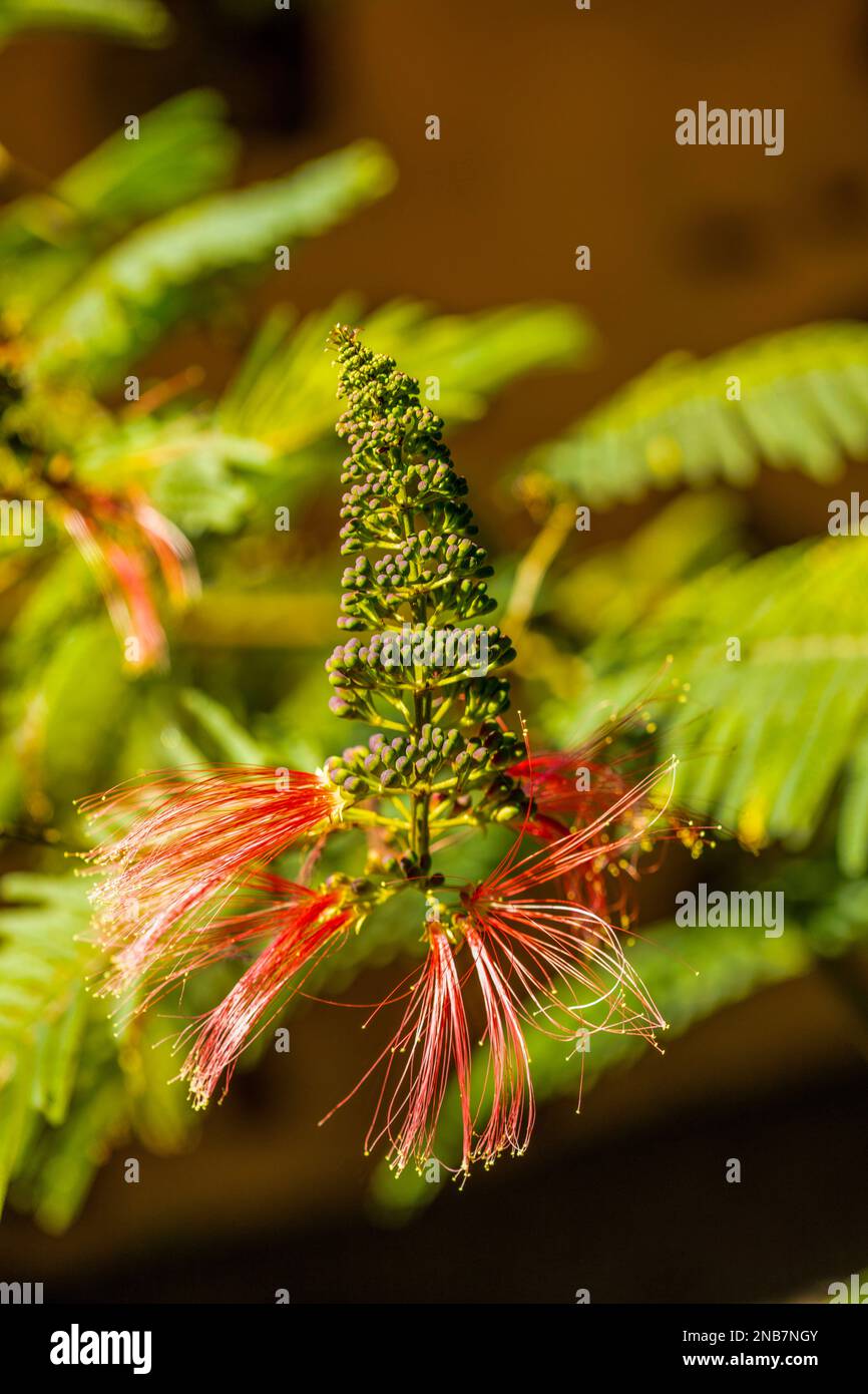 Provides soil stabilisation hi-res stock photography and images - Alamy