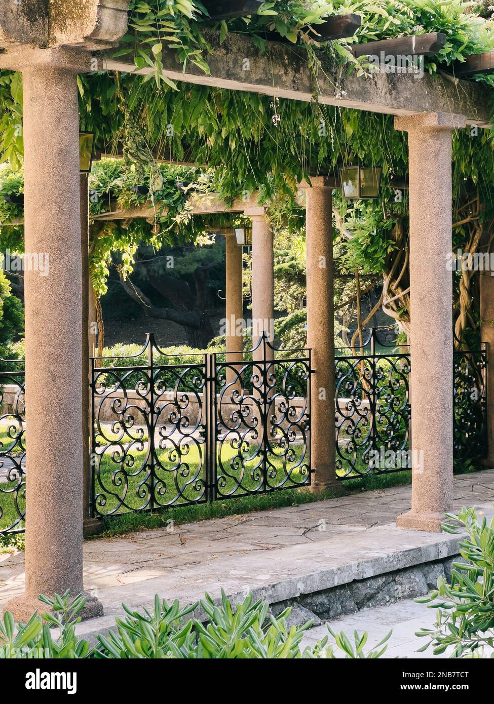 Pergola with columns and ceilings entwined with green plants in the ...