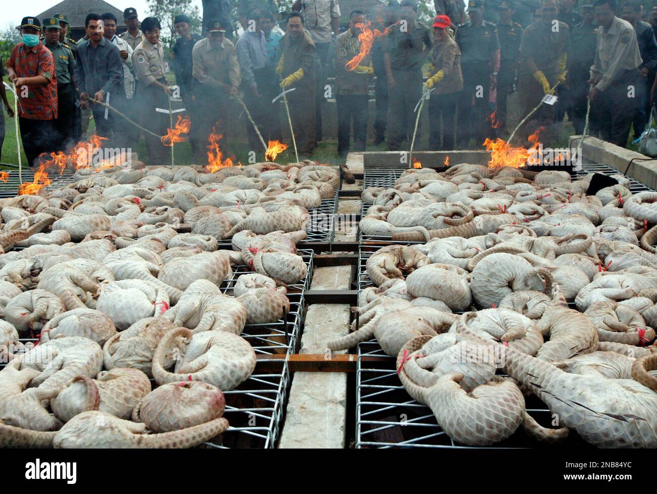 In this photo taken Thursday, Dec, 10, 2009, Indonesian Forest Ministry ...