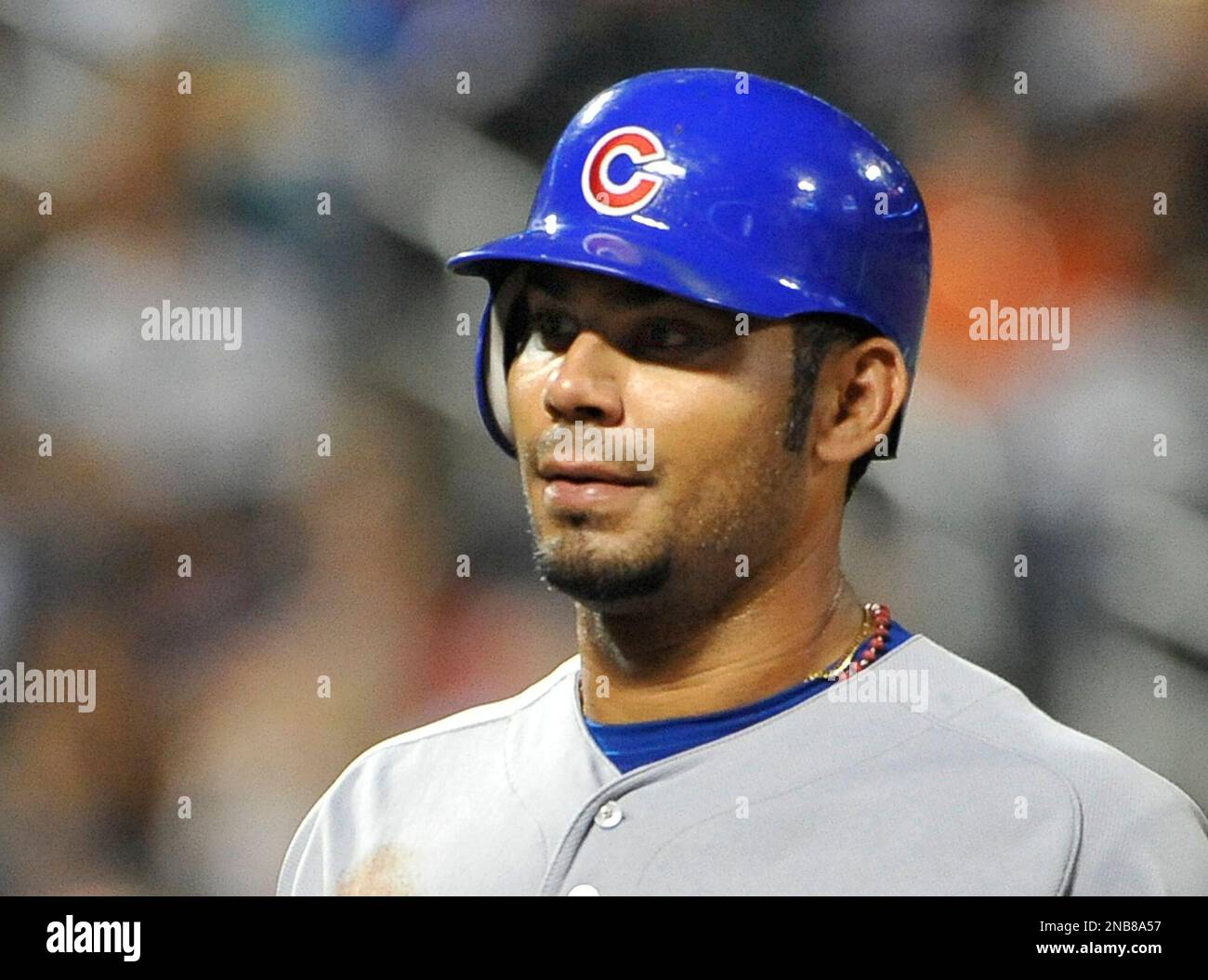 Chicago Cubs' Carlos Pena at first base after walking off of New York ...