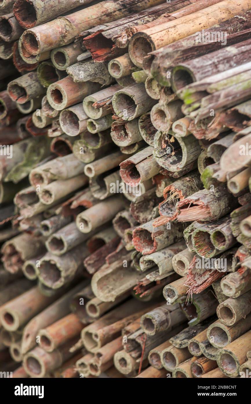Bamboo and wood structure hi-res stock photography and images - Alamy