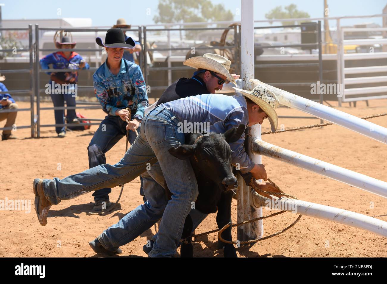 Bronco branding is a timed event where a catcher ropes a calf in a mob ...