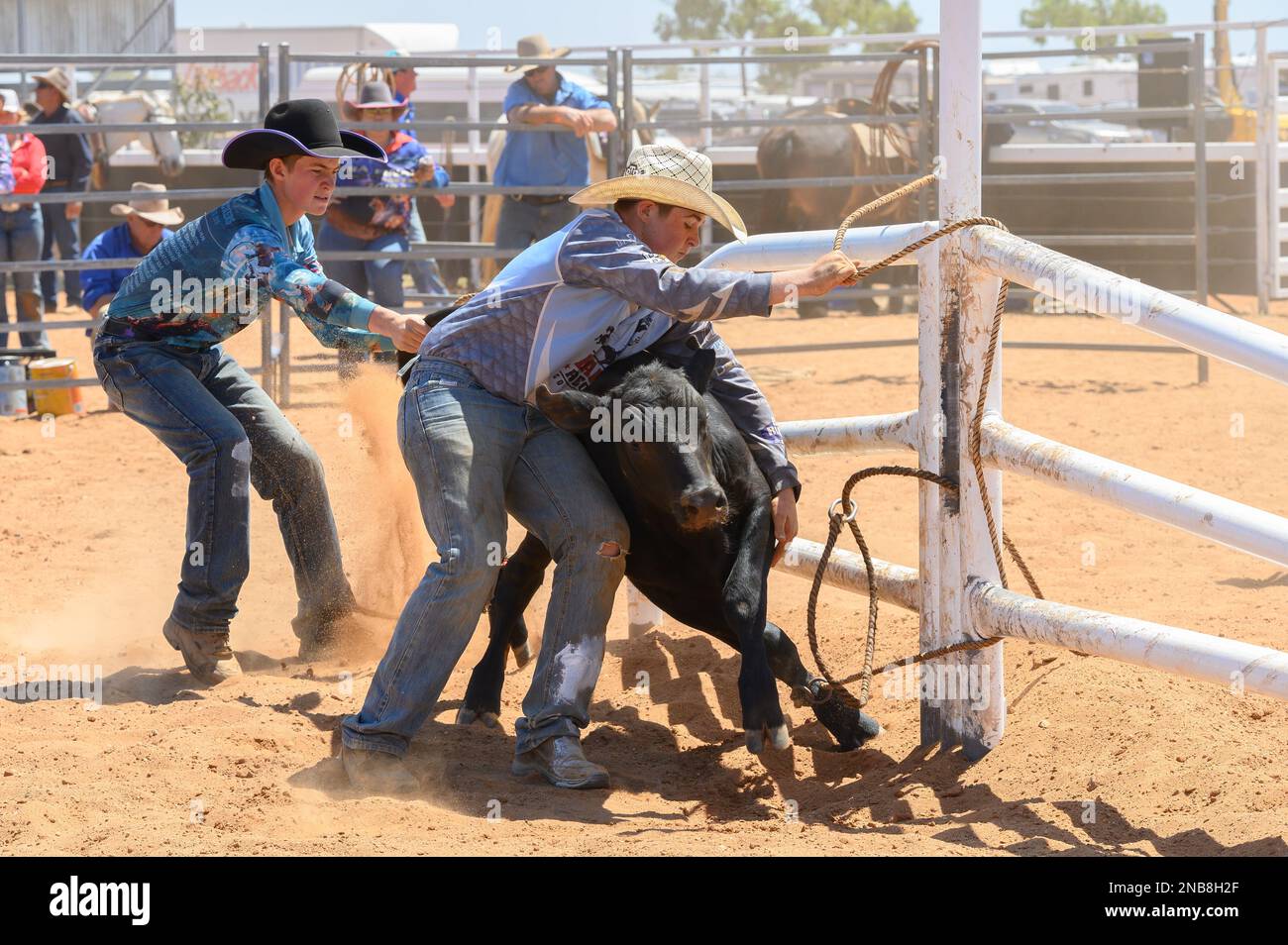 Bronco branding is a timed event where a catcher ropes a calf in a mob ...