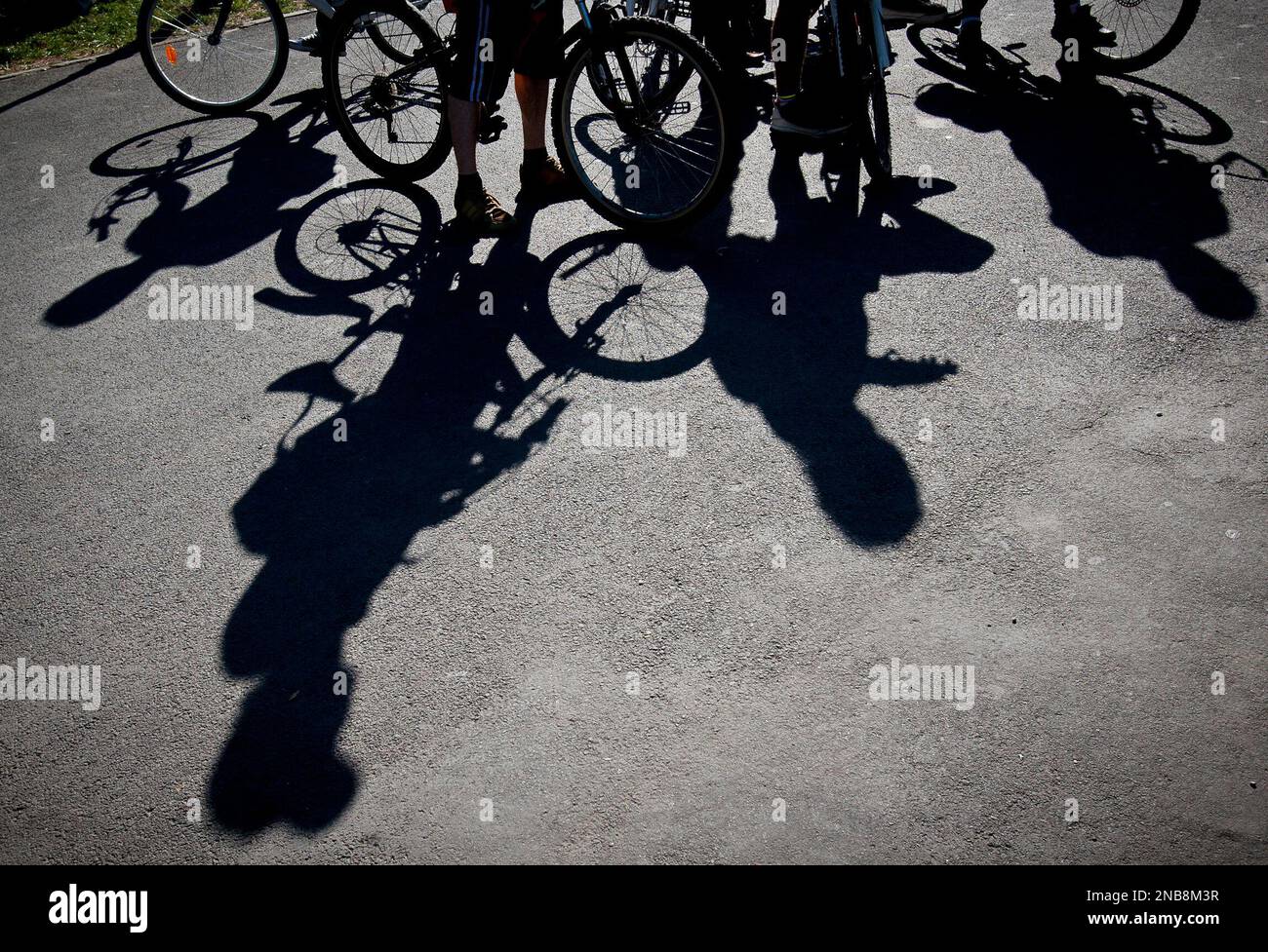 Freddie Mercury fans cast shadows sitting on their bicycles during an ...