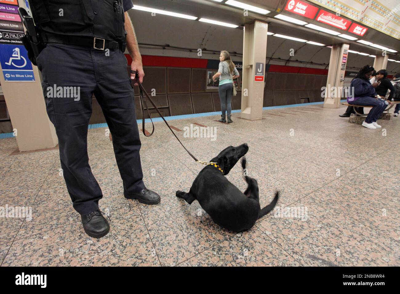 In this photo taken Wednesday, Sept. 7, 2011, Chicago Police Officer ...