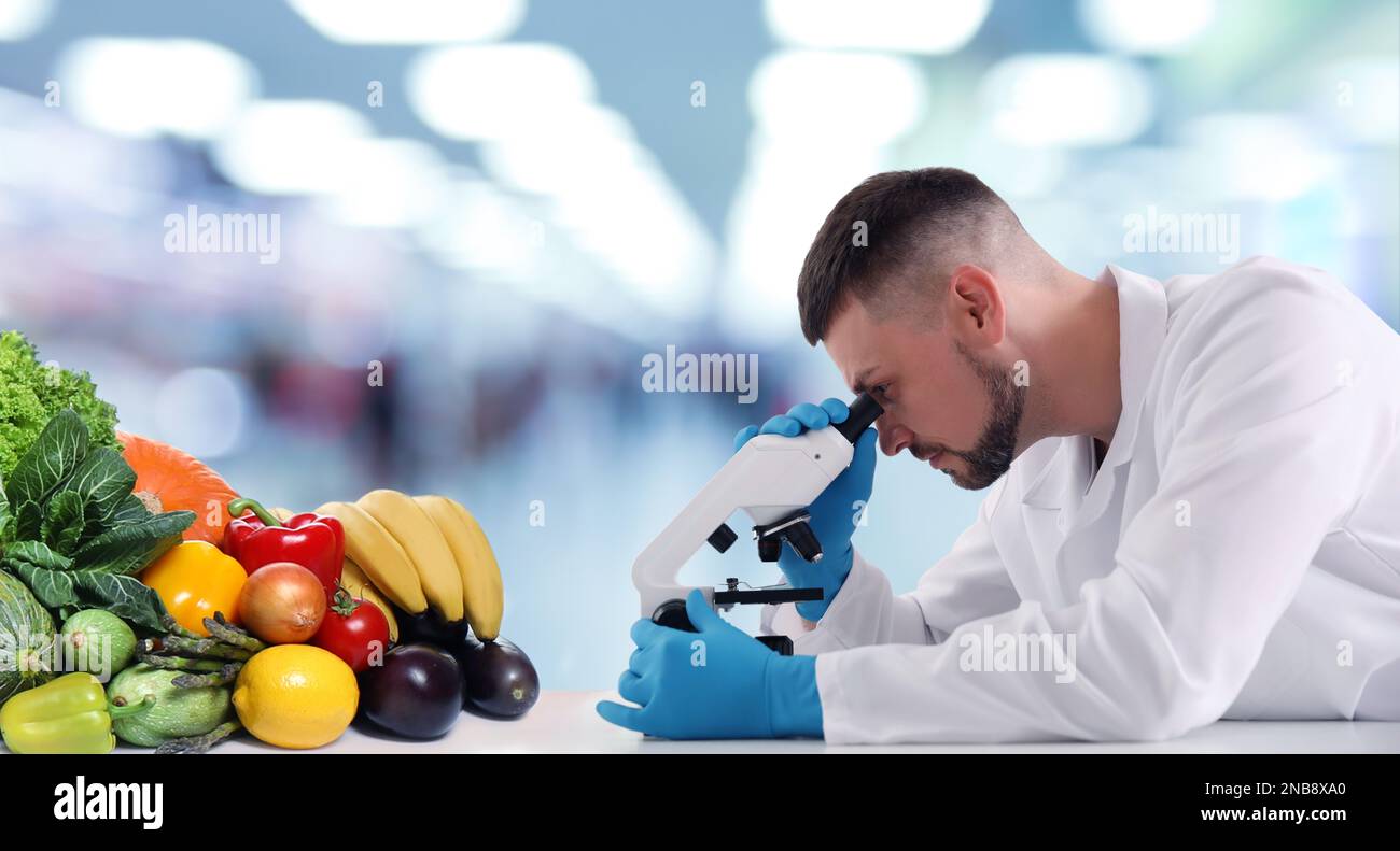 Quality control specialist inspecting food in laboratory. Banner design ...