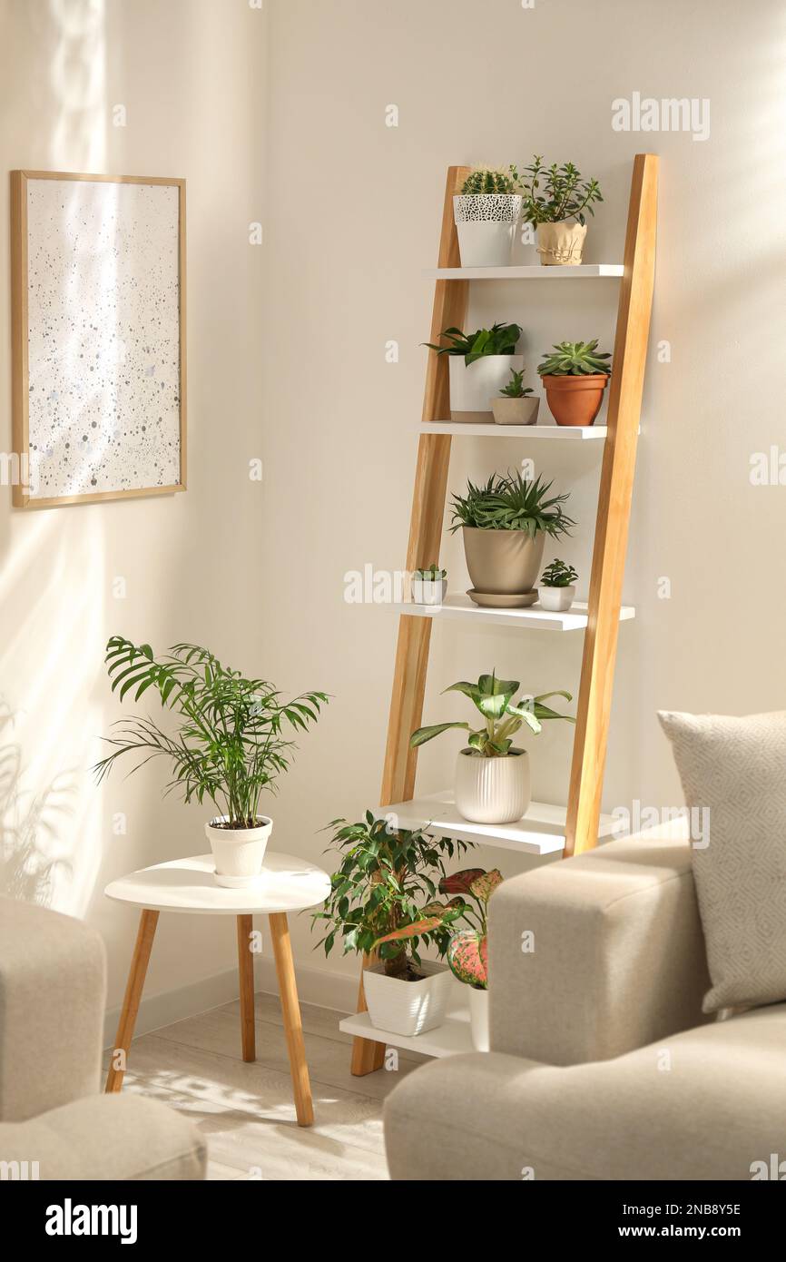 Decorative wooden ladder in stylish living room interior Stock Photo ...