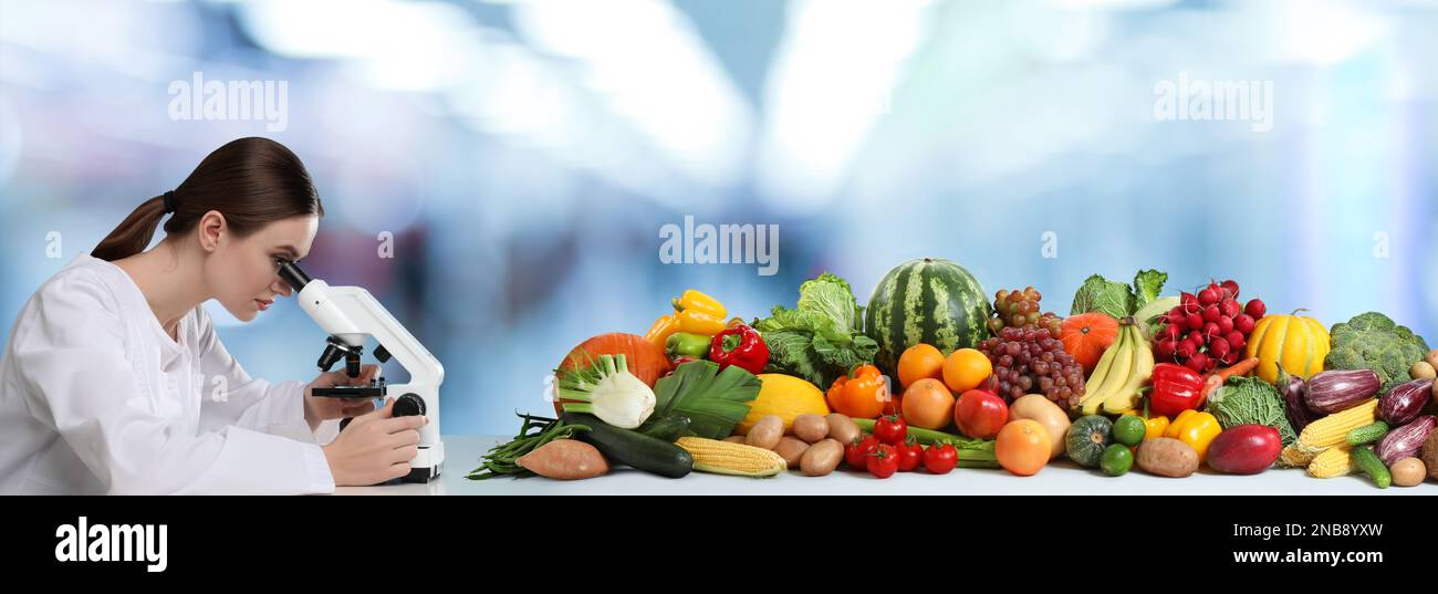 Quality control specialist inspecting food in laboratory. Banner design ...