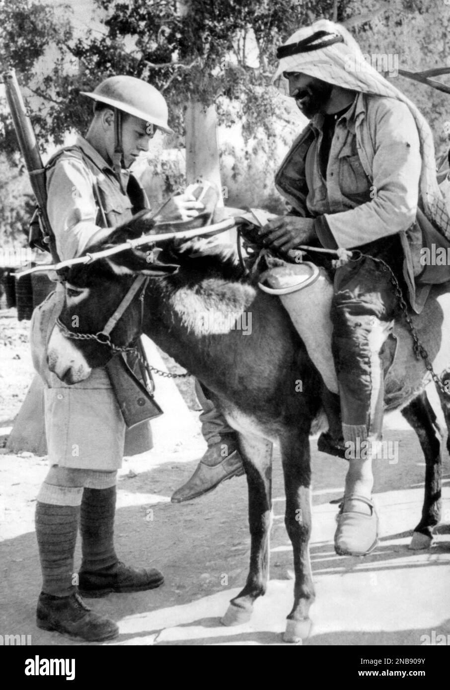 A British soldier stops a donkey-mounted Arab somewhere on the Syrian ...