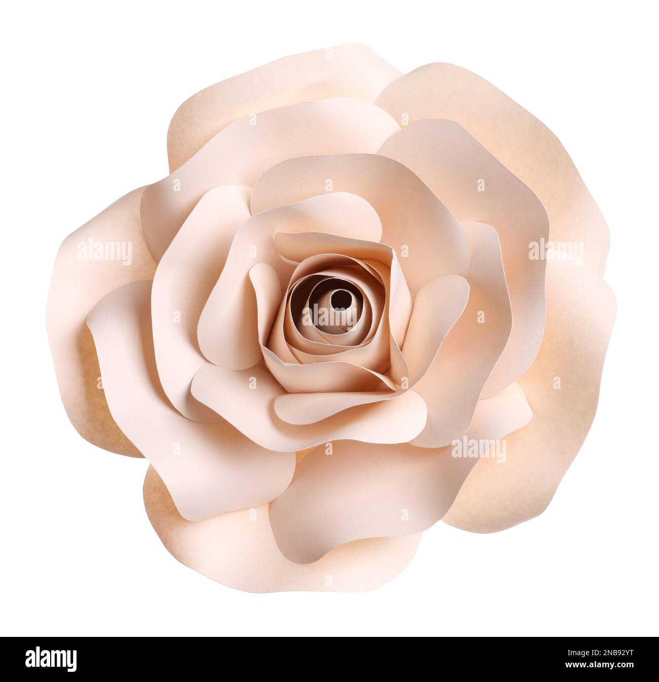 Beige flower hi-res stock photography and images - Alamy