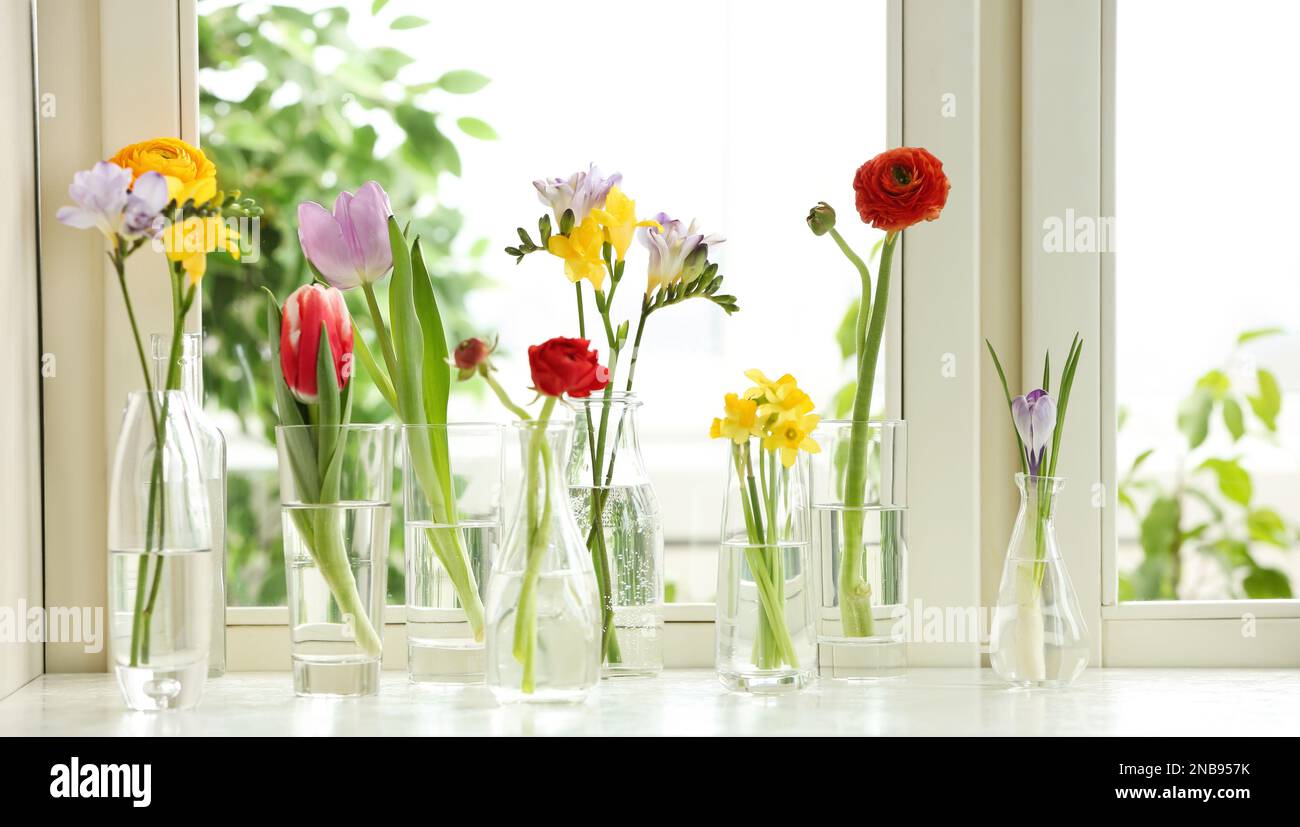 Beautiful spring flowers in glassware on window sill Stock Photo - Alamy