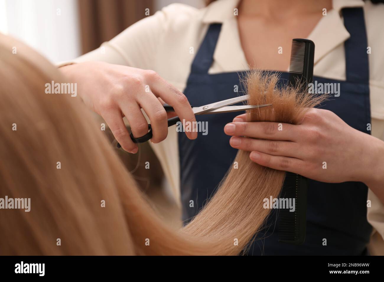 Stylist cutting hair of client in professional salon, closeup Stock ...