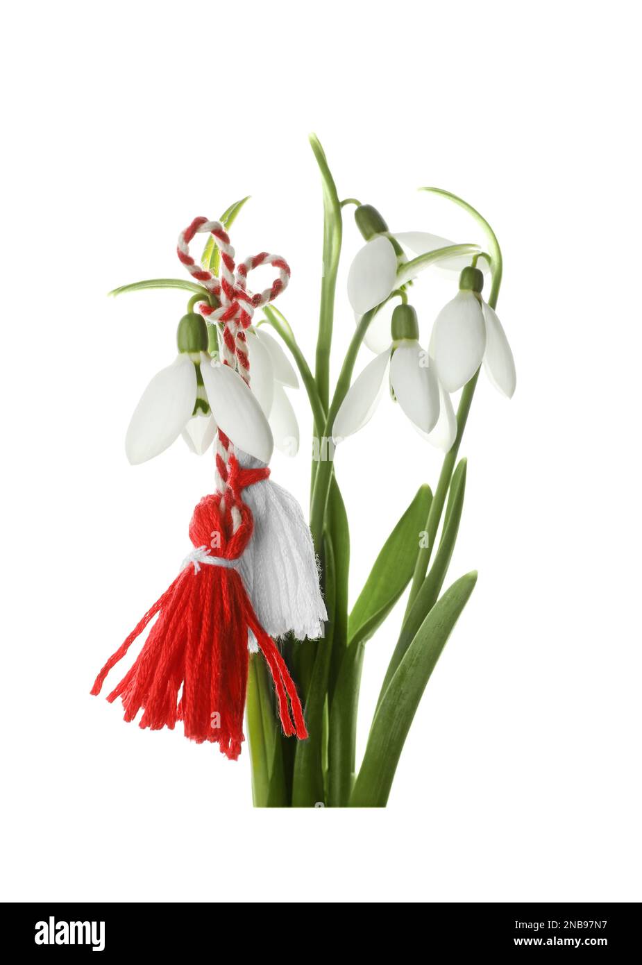Beautiful snowdrops with traditional martisor on white background ...