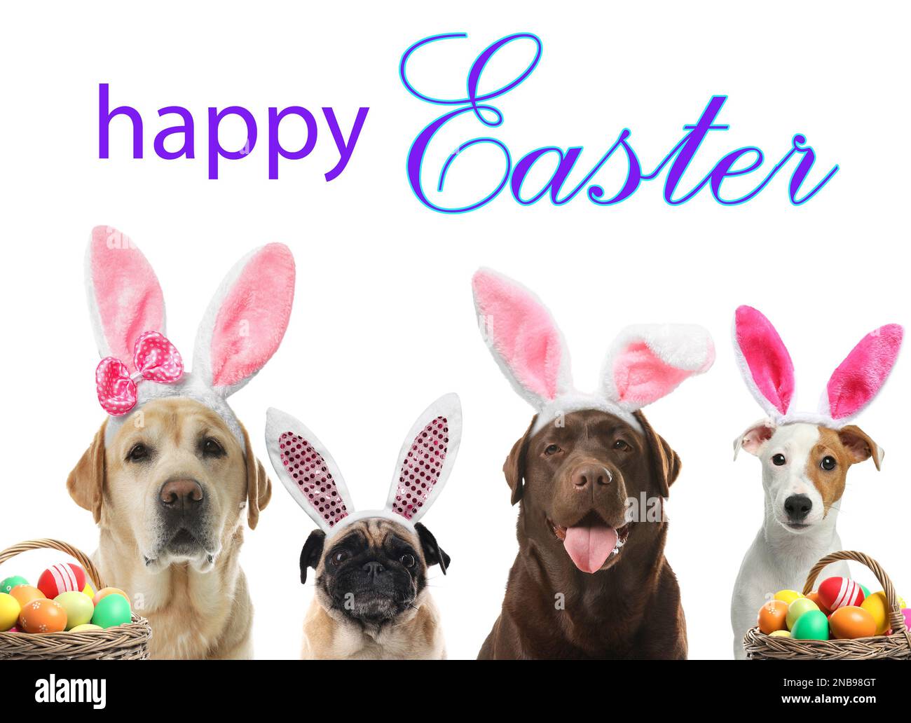 Happy Easter. Colorful eggs and cute dogs with bunny ears headbands on ...