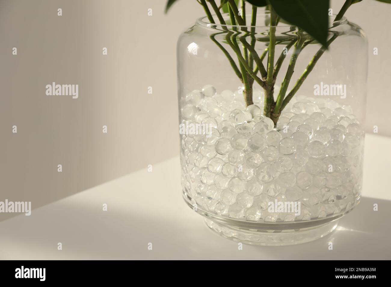 Vase With Water Beads And Plant