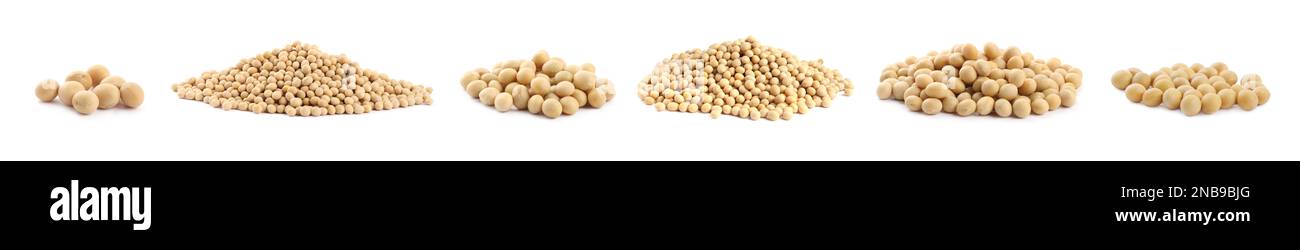 Set with soya beans on white background. Banner design Stock Photo - Alamy