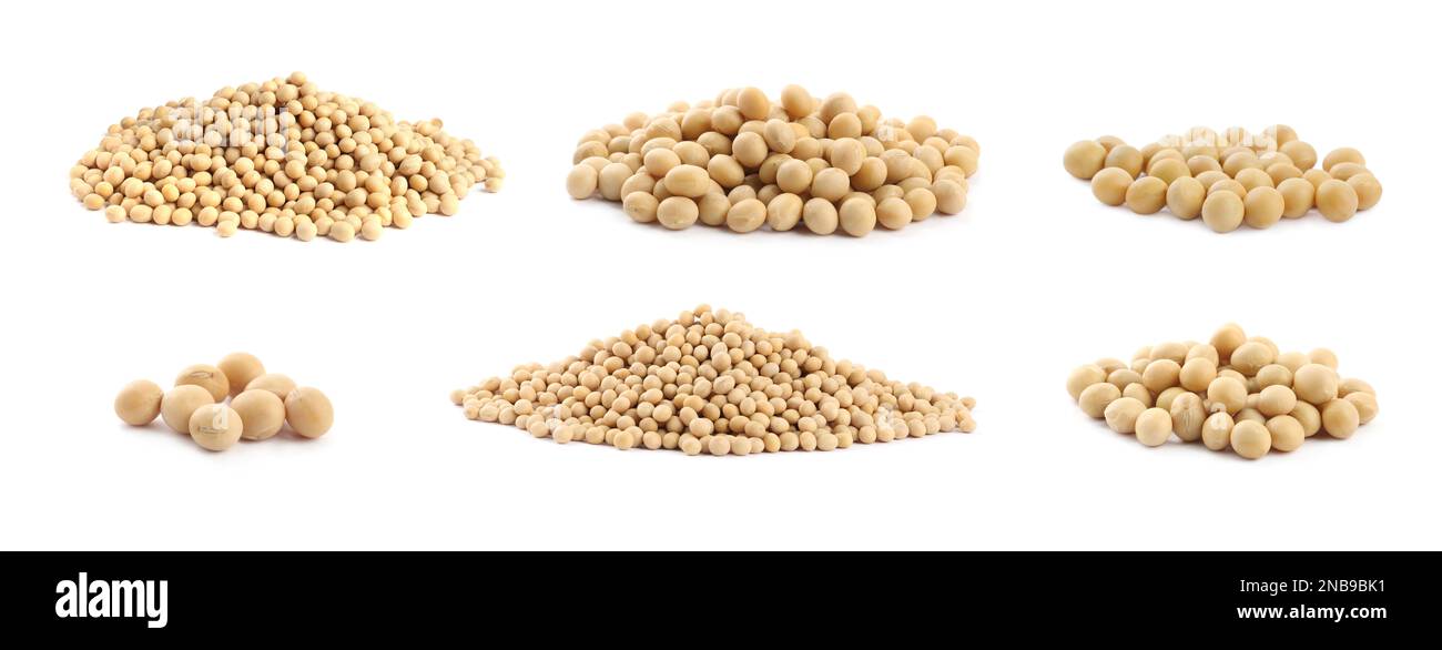 Set with soya beans on white background. Banner design Stock Photo - Alamy