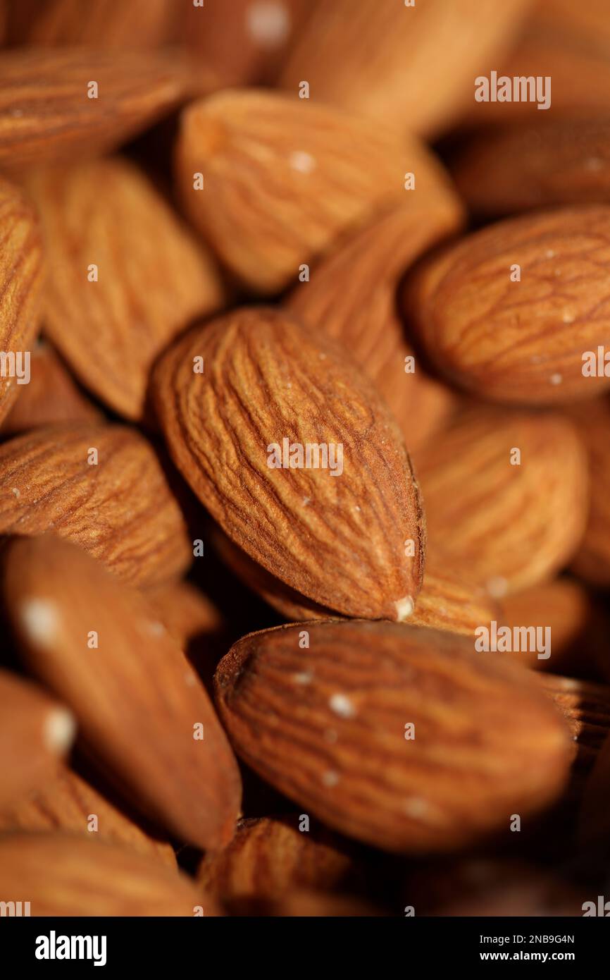 Dry fruit almond close up background prunus amygdalus family rosaceae ...