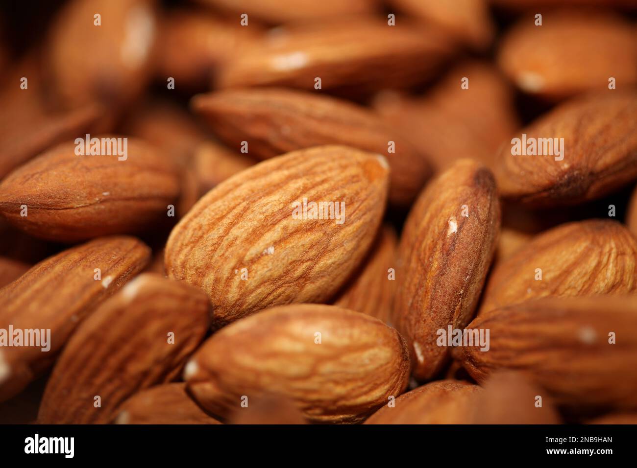 Dry fruit almond close up background prunus amygdalus family rosaceae ...