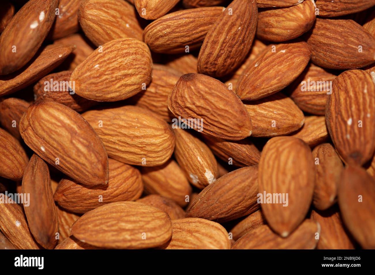 Dry fruit almond close up background prunus amygdalus family rosaceae ...