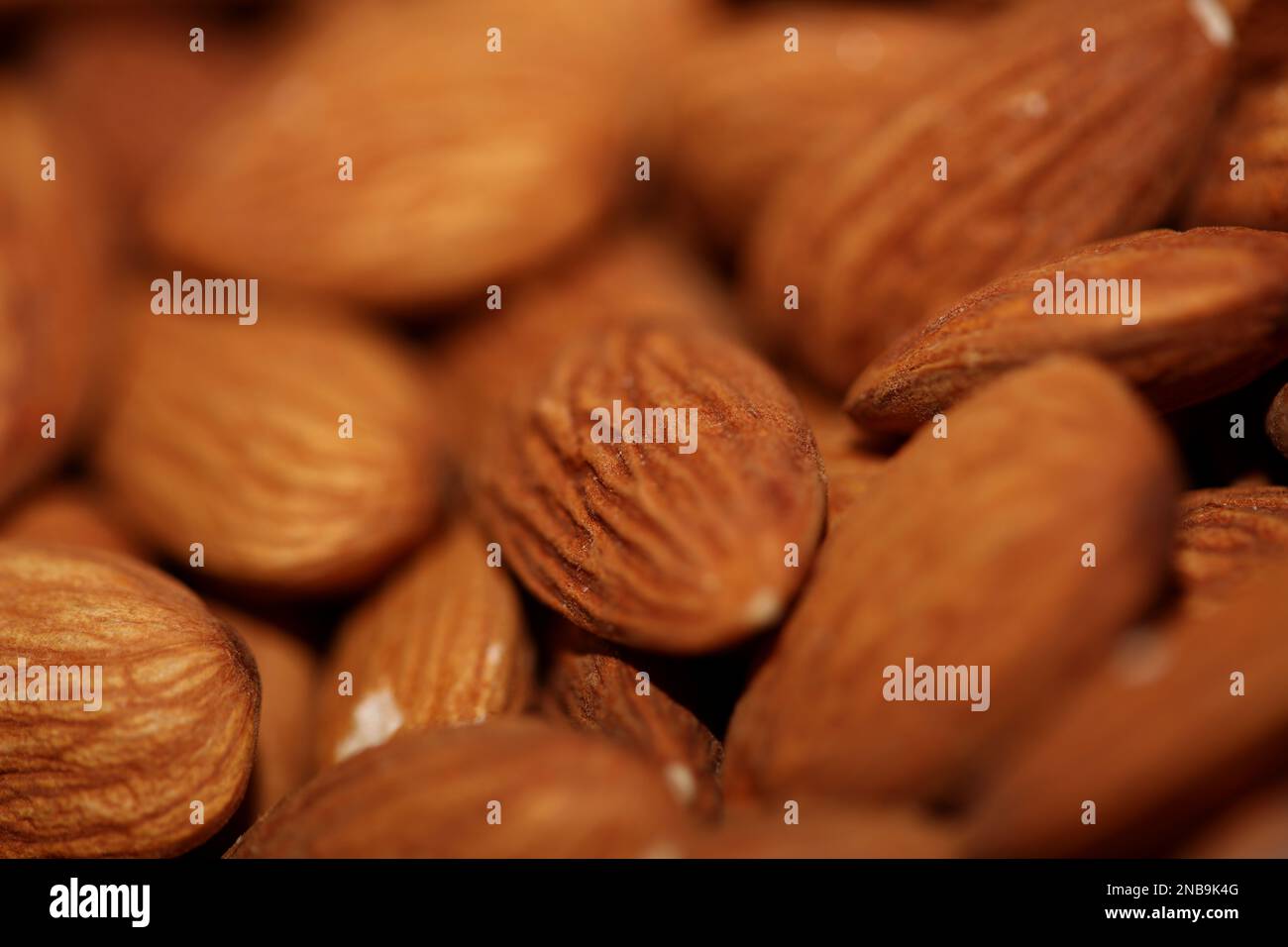 Dry fruit almond close up background prunus amygdalus family rosaceae ...