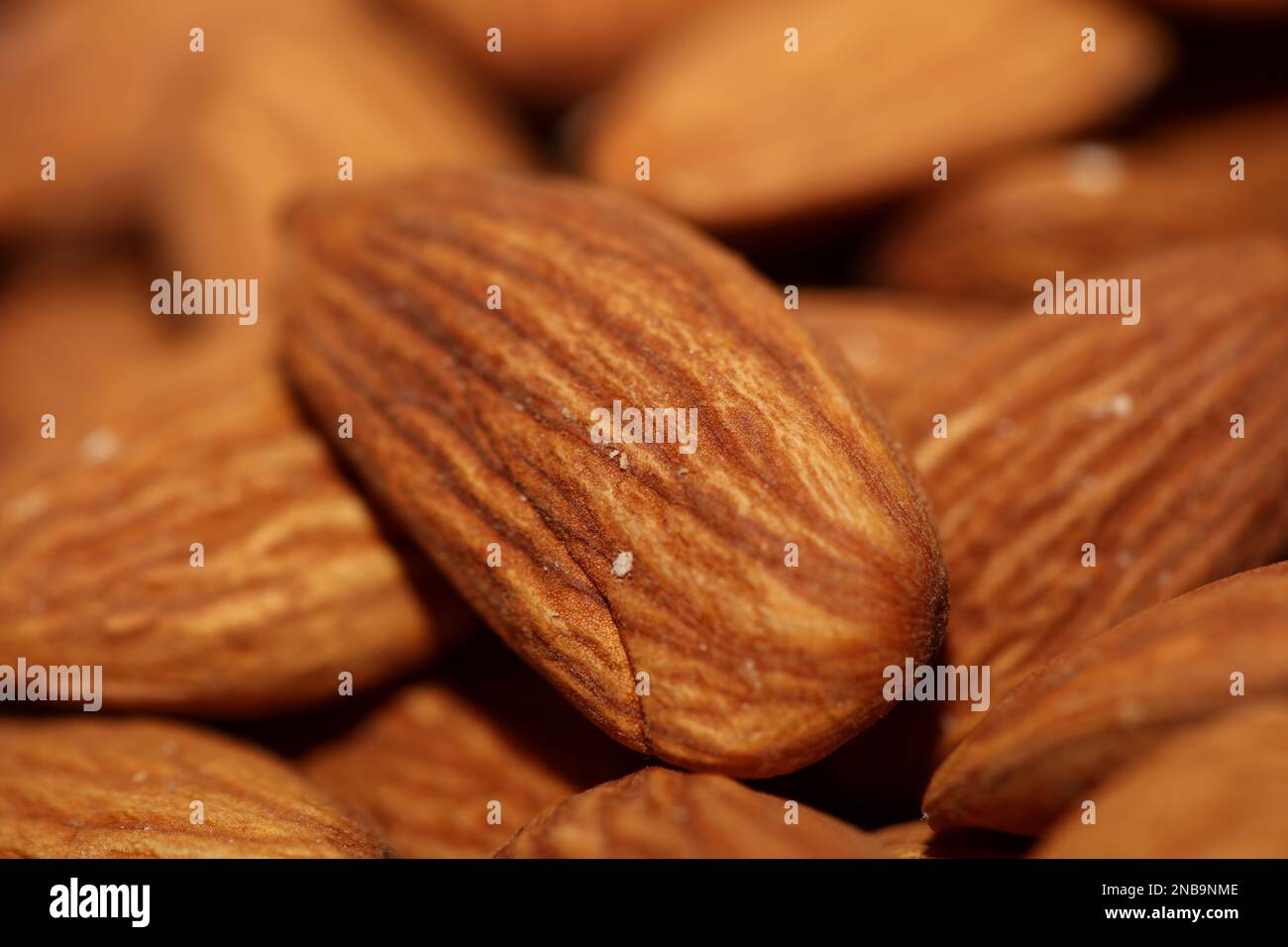 Dry fruit almond close up background prunus amygdalus family rosaceae ...