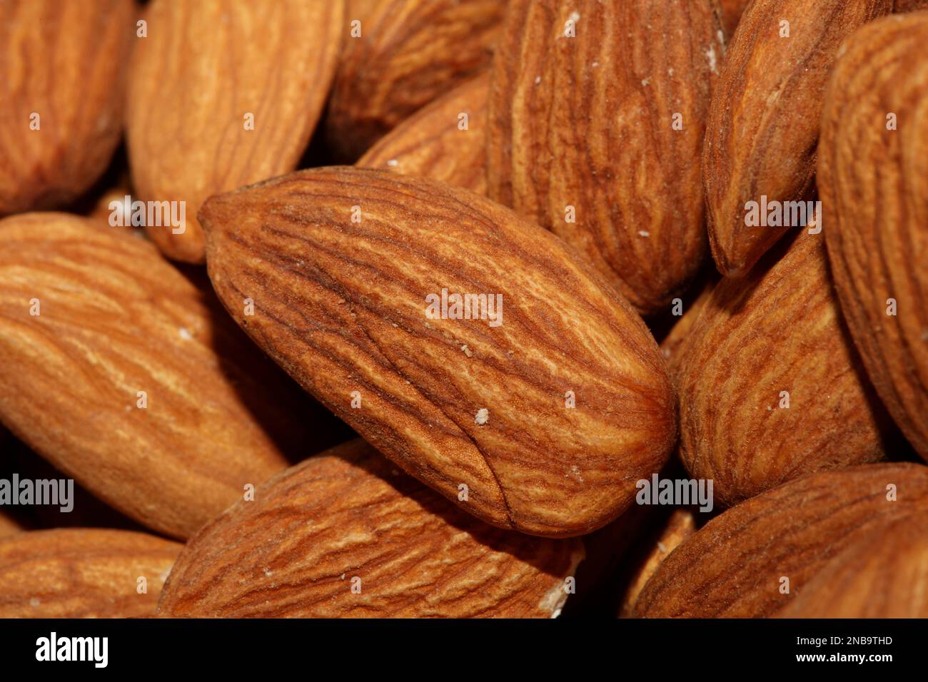 Dry fruit almond close up background prunus amygdalus family rosaceae ...