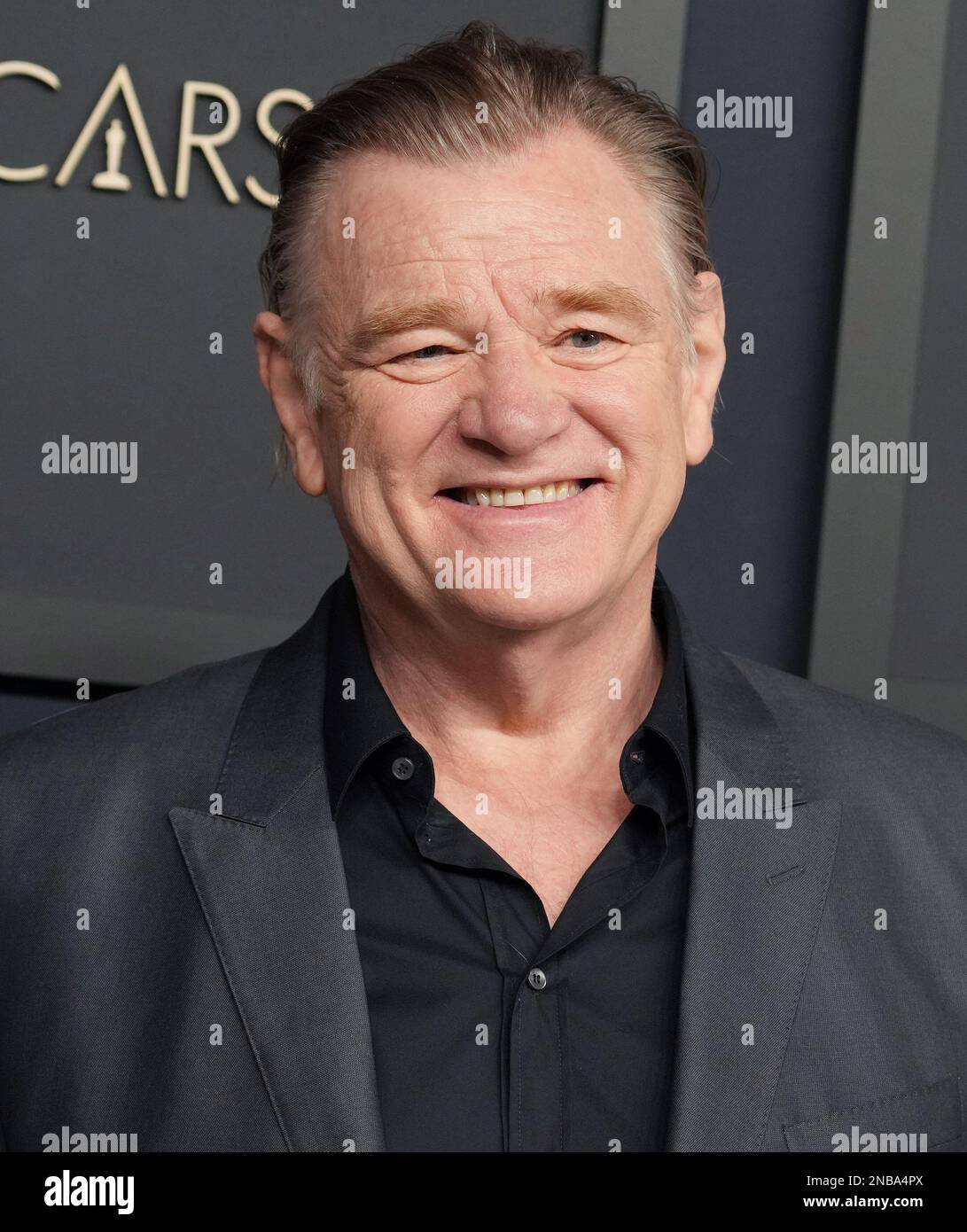 Los Angeles, USA. 13th Feb, 2023. Brendan Gleeson arrives at the 95th ...