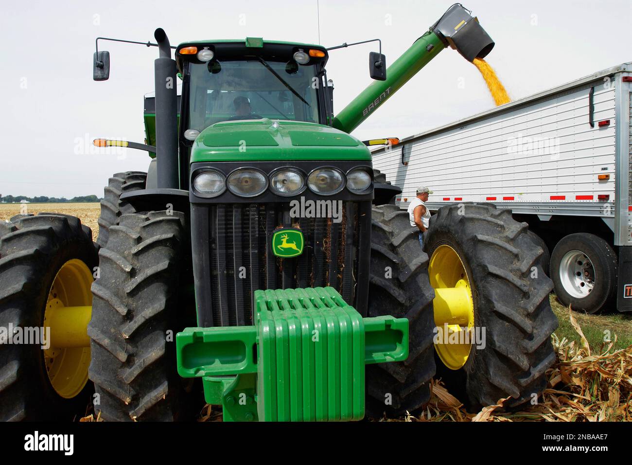 Corn crops are harvested Tuesday, Aug. 30, 2011 near Farmingdale, Ill ...