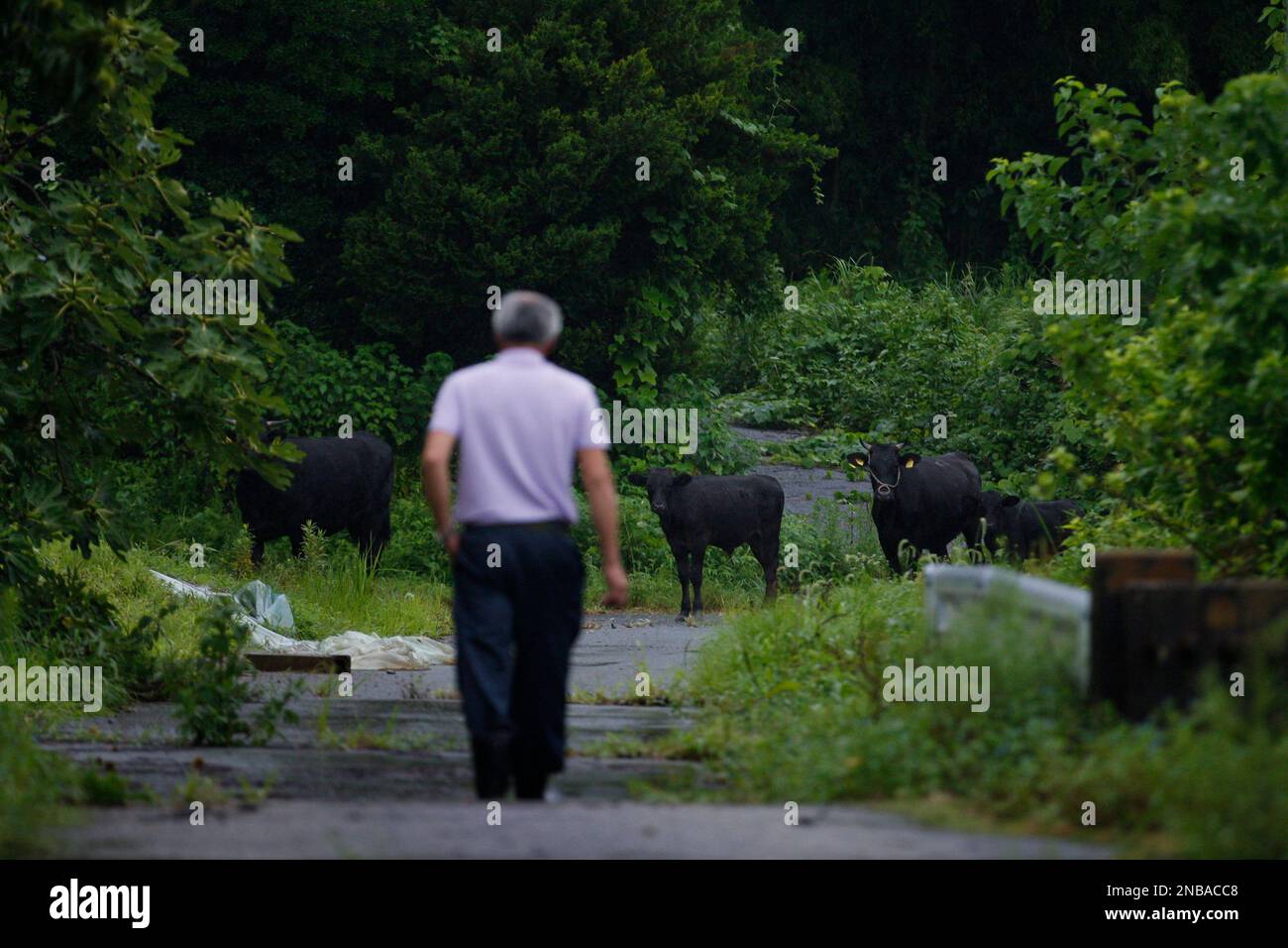 In this photo taken Friday, Aug. 19, 2011, Naoto Matsumura calls on ...
