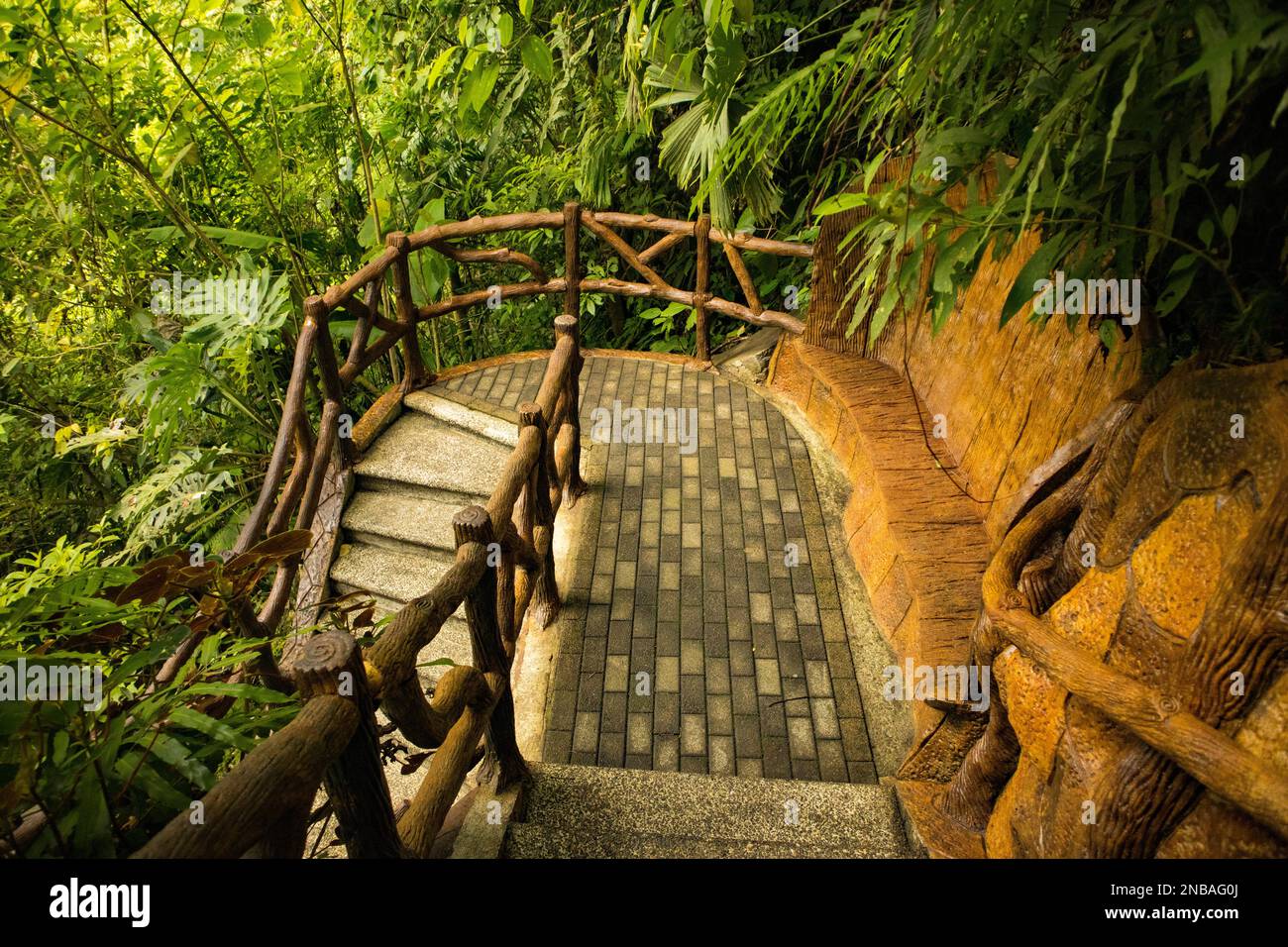 road to La Fortuna waterfall located in the Arenal Volcano National ...