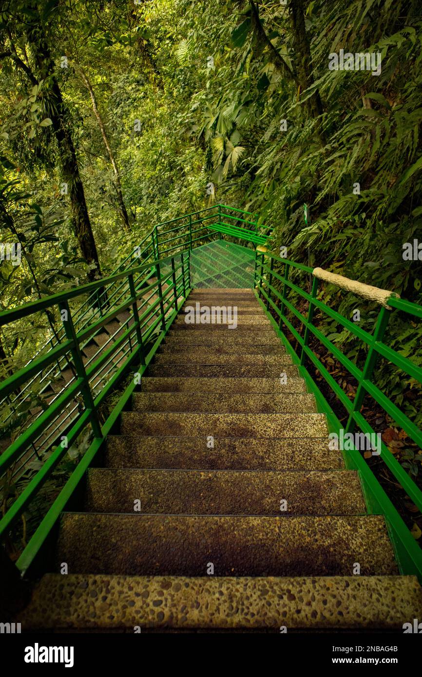 road to La Fortuna waterfall located in the Arenal Volcano National ...