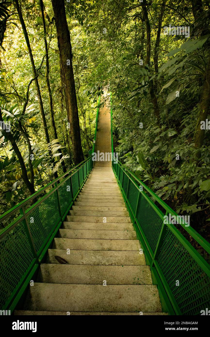 road to La Fortuna waterfall located in the Arenal Volcano National ...