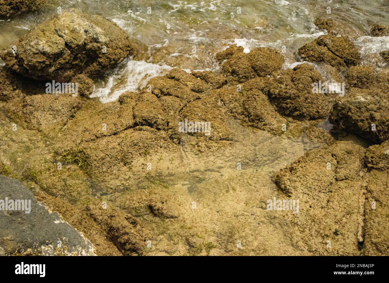 Penca Beach, beautiful hidden beach in the province of Guanacaste Costa ...