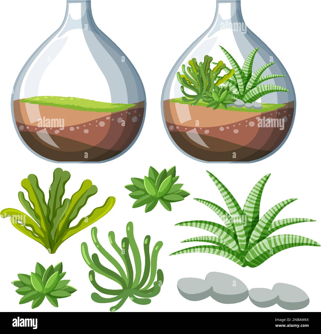 Set of terrarium plant in jar illustration Stock Vector Image & Art - Alamy