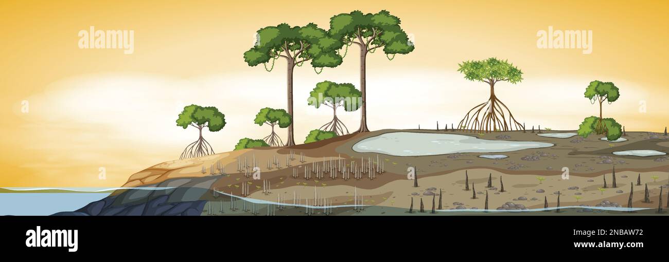 Mangrove forest outdoor background illustration Stock Vector Image ...