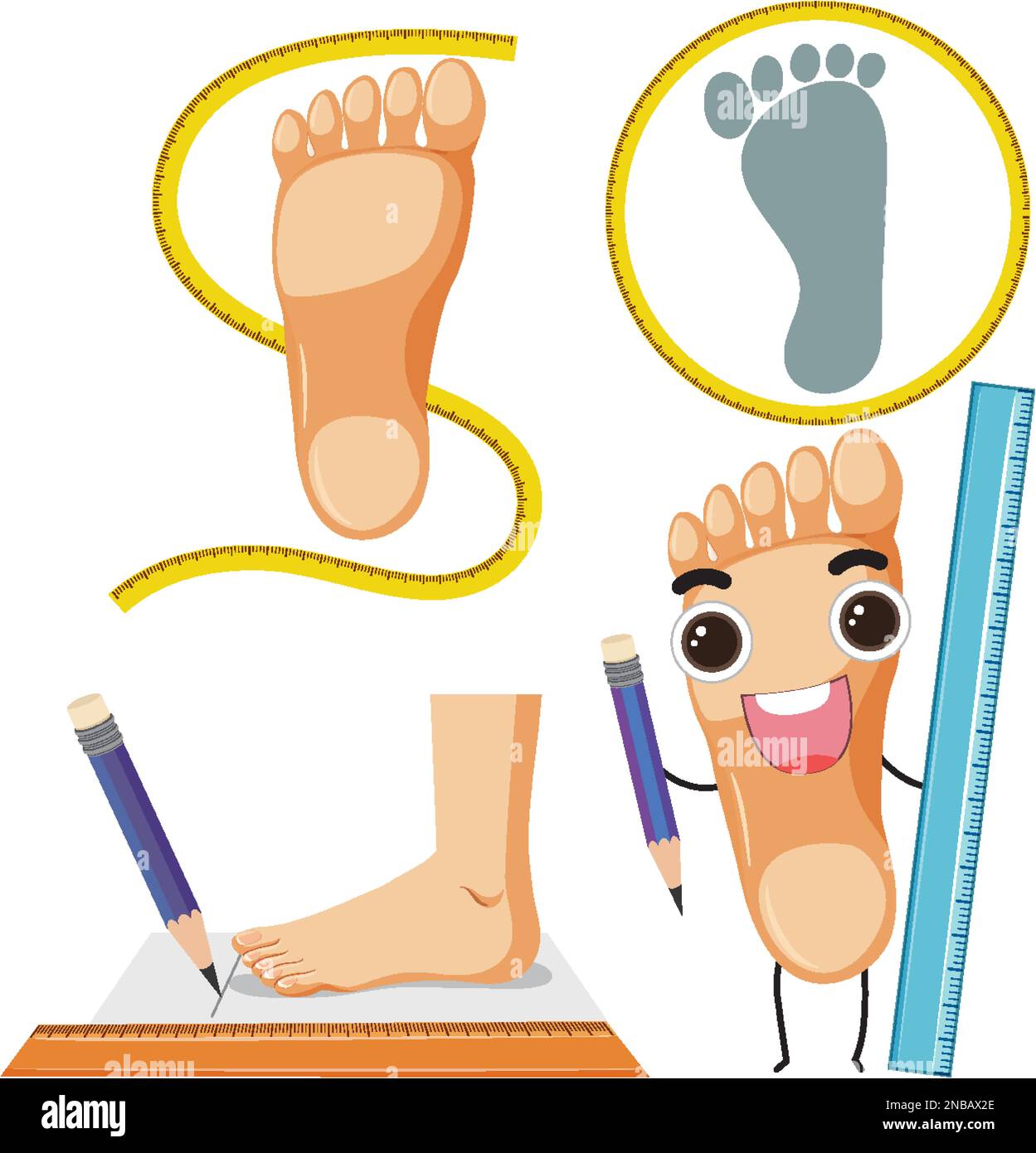 Foot with smiley face expression and ruler illustration Stock Vector ...