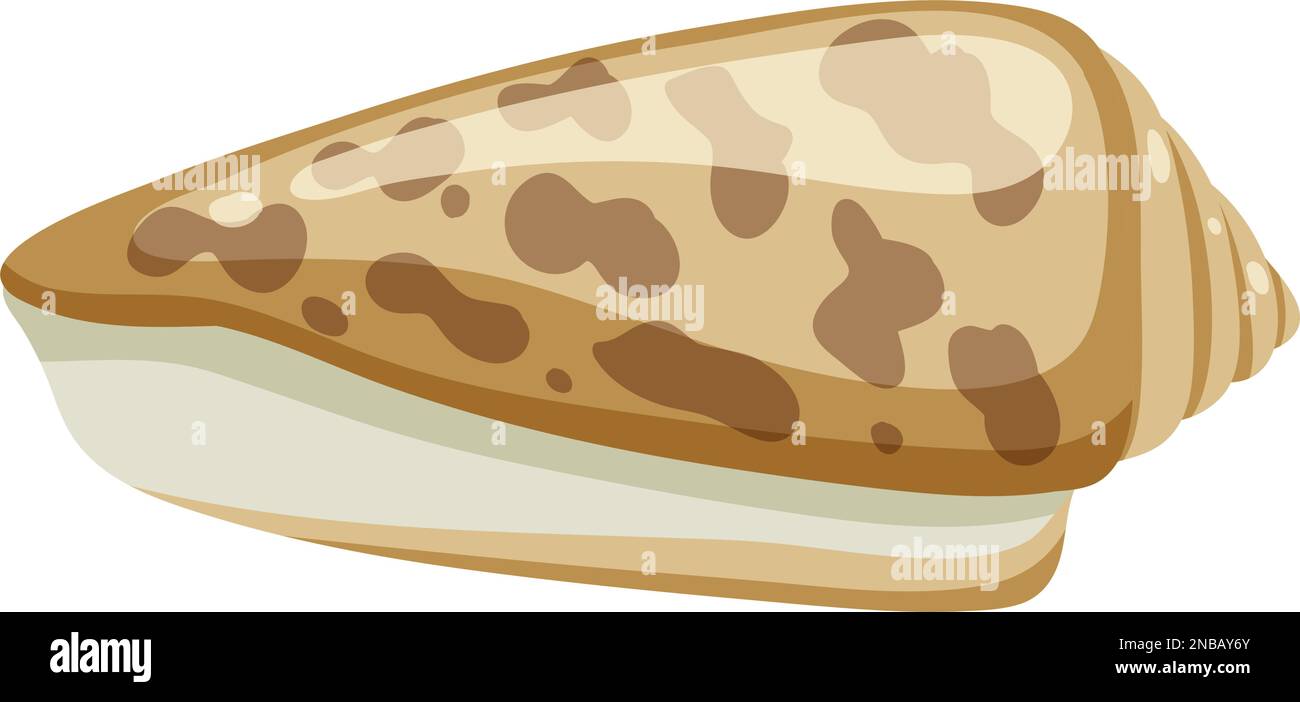 Isolated shell rocky shore illustration Stock Vector Image & Art - Alamy