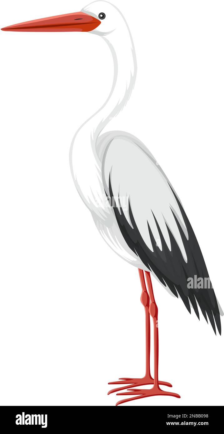 Stork bird isolated on white background illustration Stock Vector Image ...