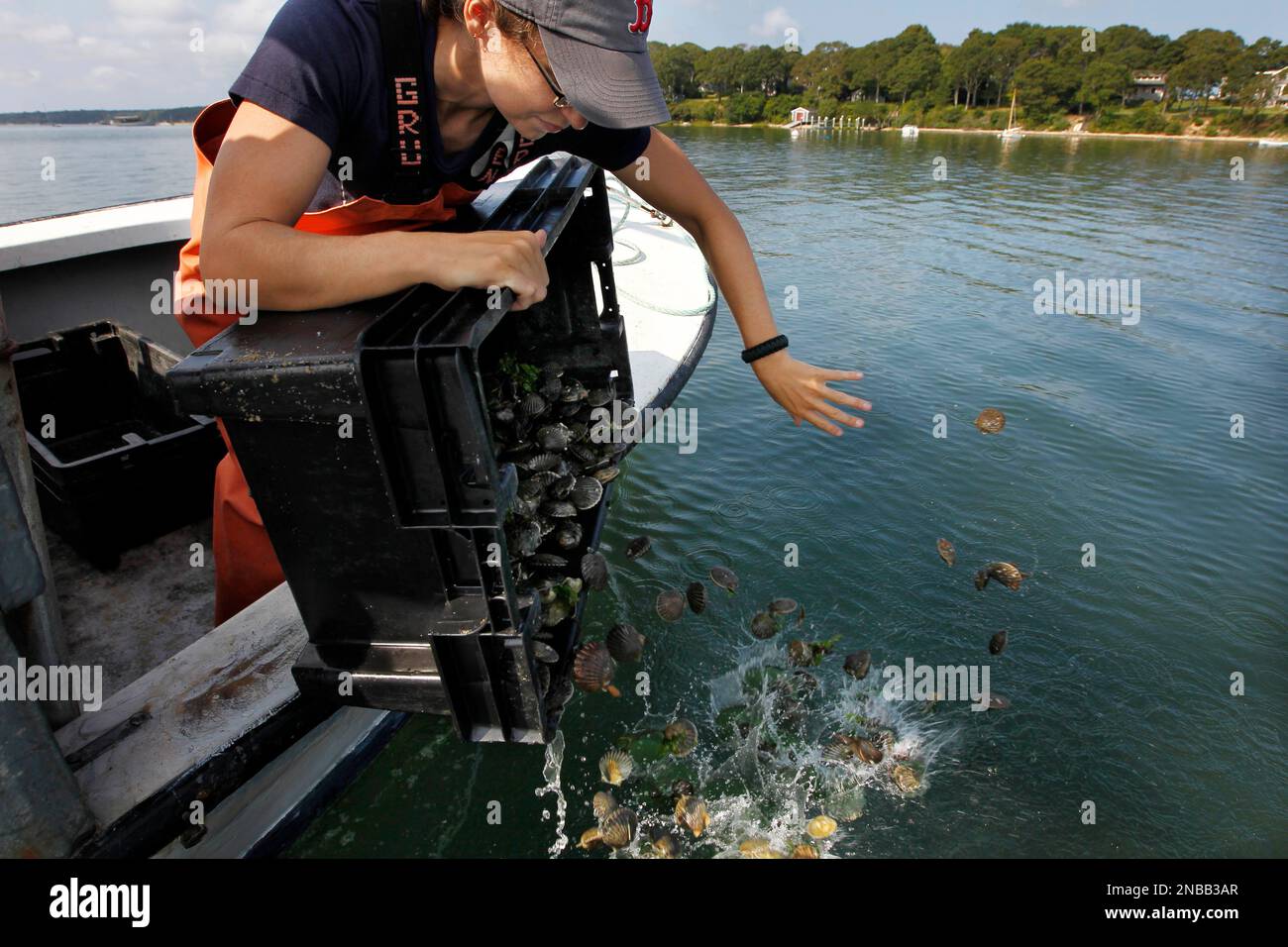 Tisbury, Mass., Shellfish Constable Danielle Ewart releases adult ...