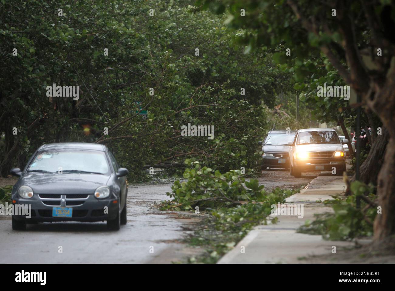 Cars wind their way around downed trees on the coastal road in the aftermath of Hurricane Irene ...