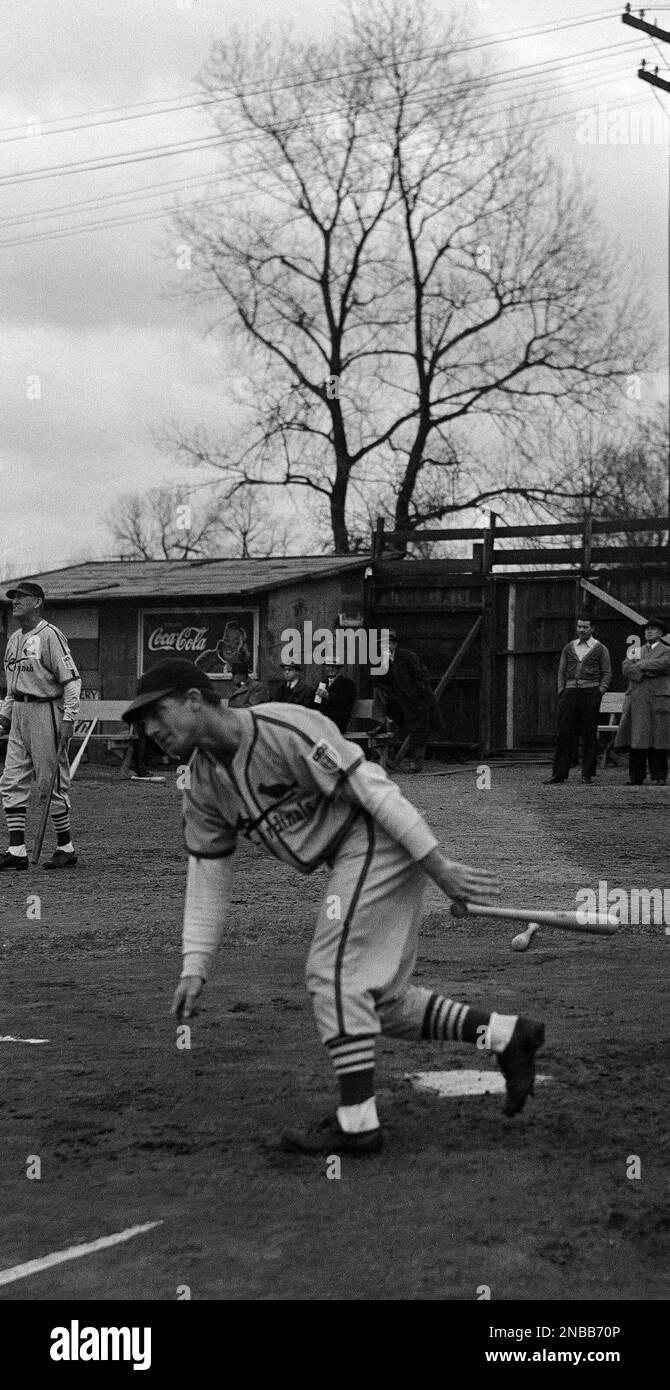 St. Louis Cardinals' Lou Klein, rookie infielder, batting at training ...