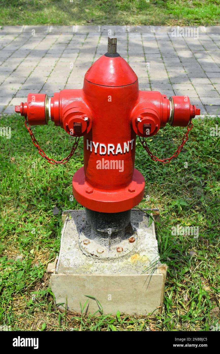 Bright red isolated fire hydrant being in the garden grass Stock Photo ...