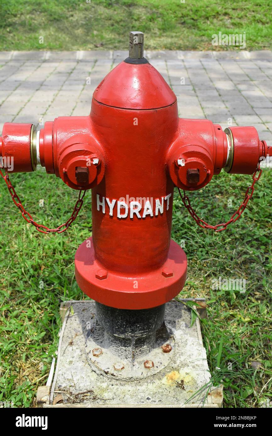Bright red isolated fire hydrant being in the garden grass Stock Photo ...