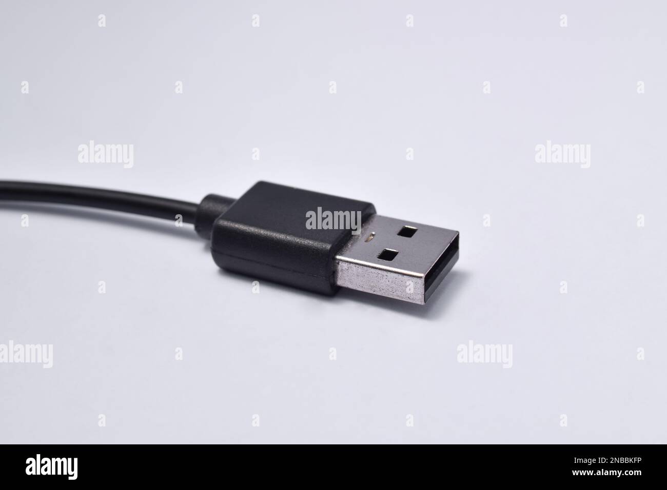standard USB type A isolated on a white background Stock Photo - Alamy