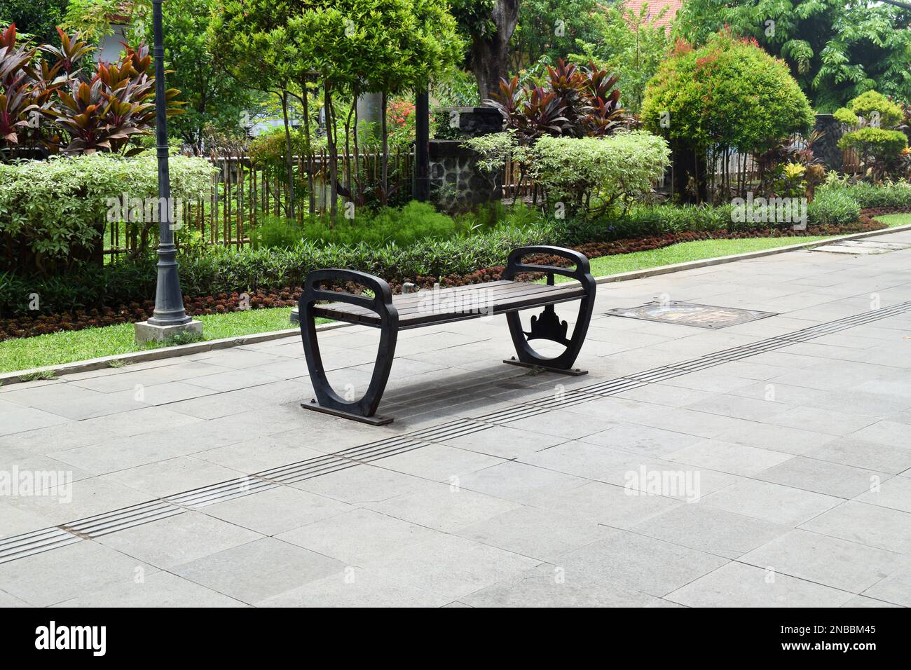 Wooden bench in the city park. a park in the middle of the city with ...